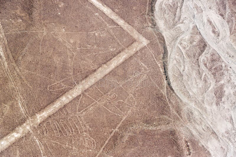 Nazca alinea la ballena foto de archivo. Imagen de misterio - 52510194