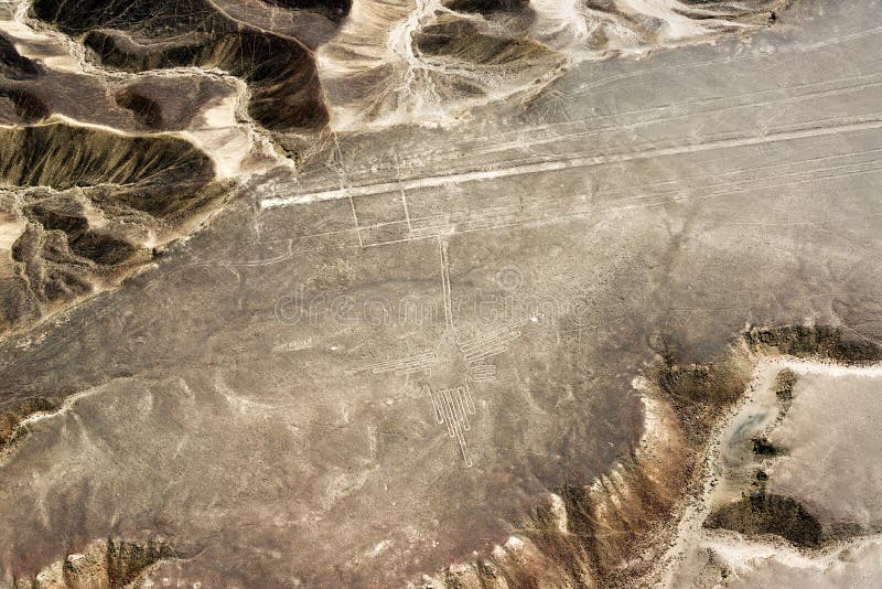 Nazca alinha o colibri imagem de stock. Imagem de paisagem - 52511187