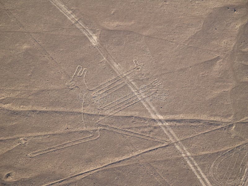 Nazca Lines stock photo. Image of islas, lines, inca, natural - 3951104