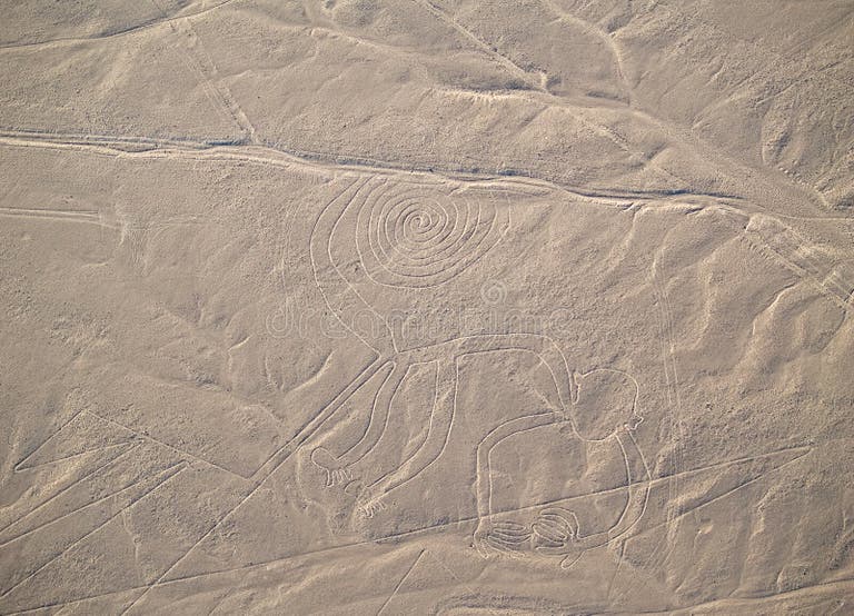 Nazca Lines stock photo. Image of arid, lizards, mystery - 3951006
