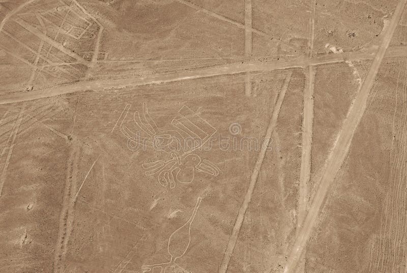 Nazca Lines, Aerial View, Peru Stock Image - Image of pattern, hardwood ...