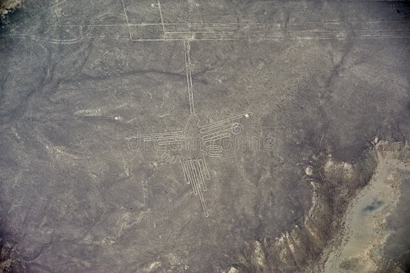 Nazca lines - the colibri stock image. Image of figure - 58163639
