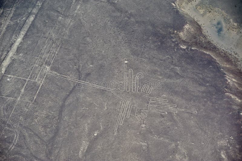 Nazca lines - the colibri stock photo. Image of geoglyphs - 58164008