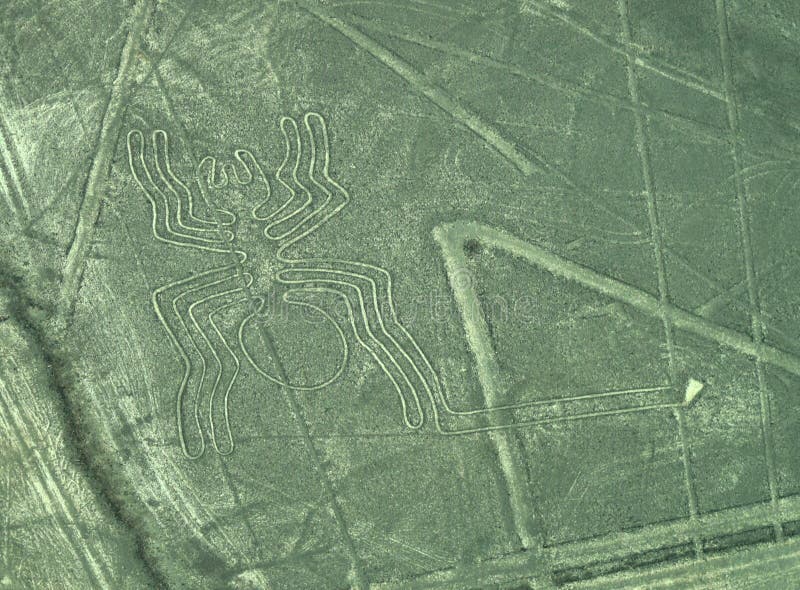 Nazca Lines: the Spider stock photo. Image of geoglyphs - 89592582