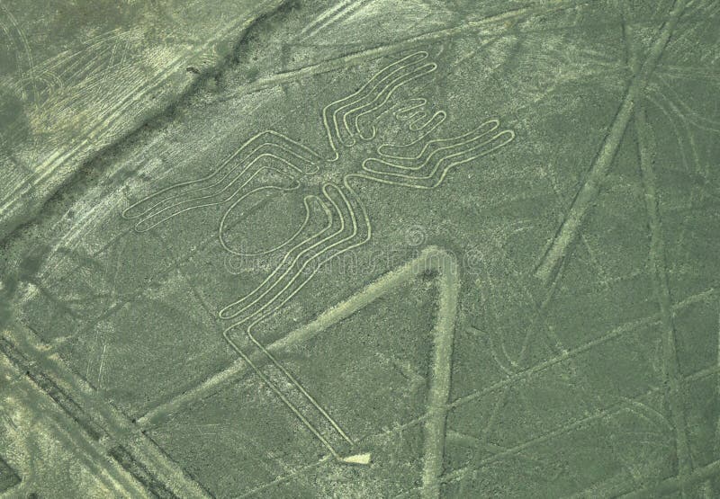 Nazca Lines: the Spider stock photo. Image of crop, geoglyphs - 89592770