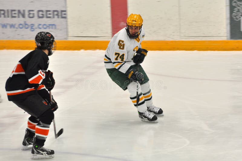 NCAA Ice Hockey Game in Clarkson University Editorial Stock Image ...