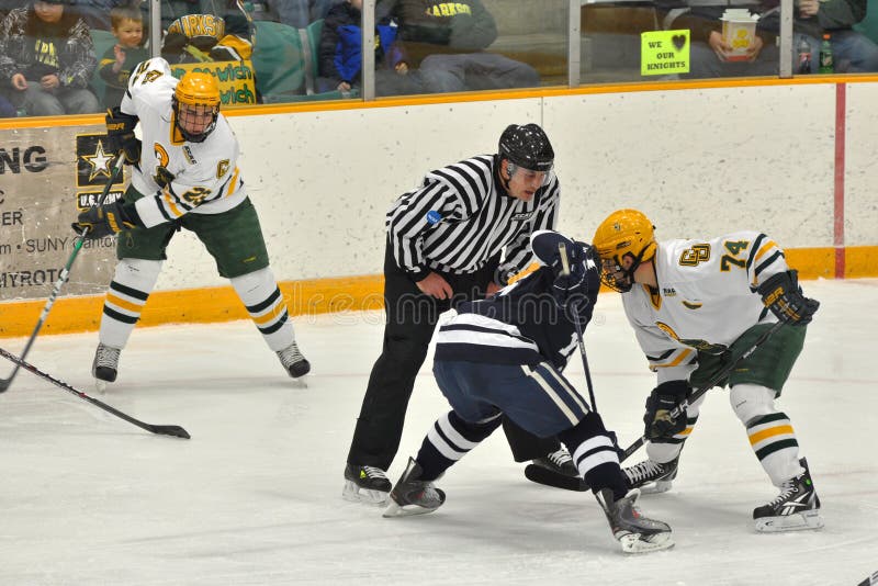 NCAA Ice Hockey Game in Clarkson University Editorial Stock Image ...