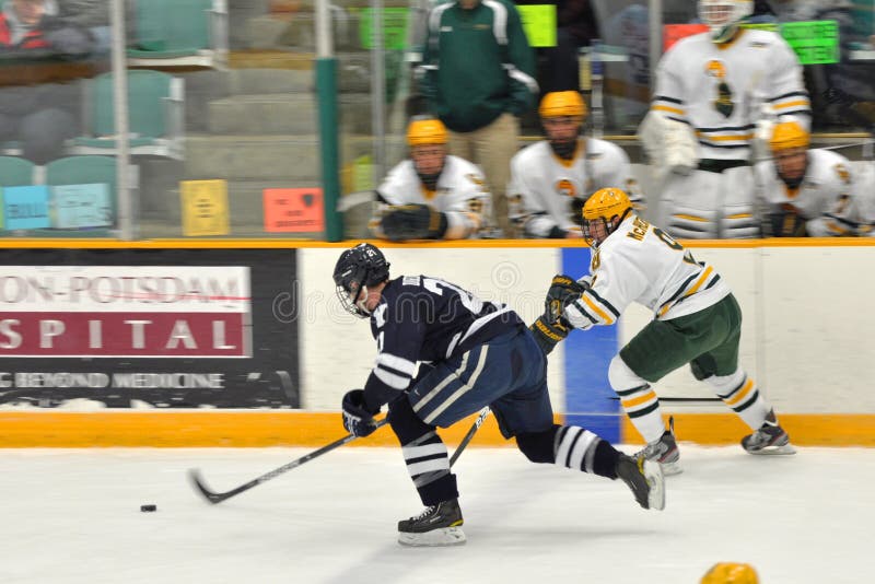 NCAA Ice Hockey Game in Clarkson University Editorial Photography ...