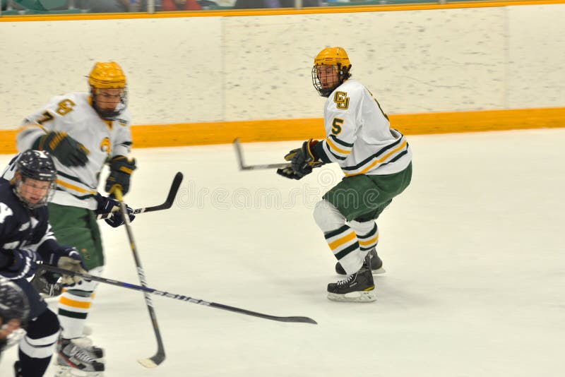 NCAA Ice Hockey Game in Clarkson University Editorial Photography ...