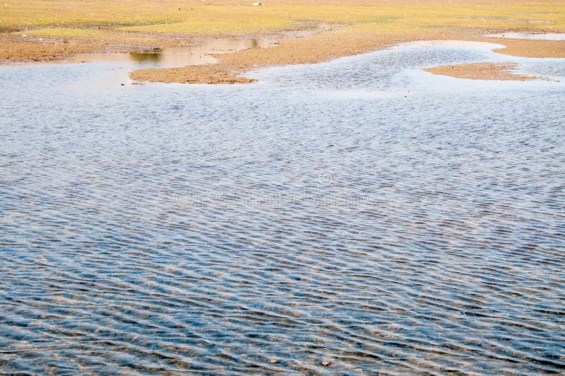 Wetland Texture Seamless Stock Photos - Free & Royalty-Free Stock ...