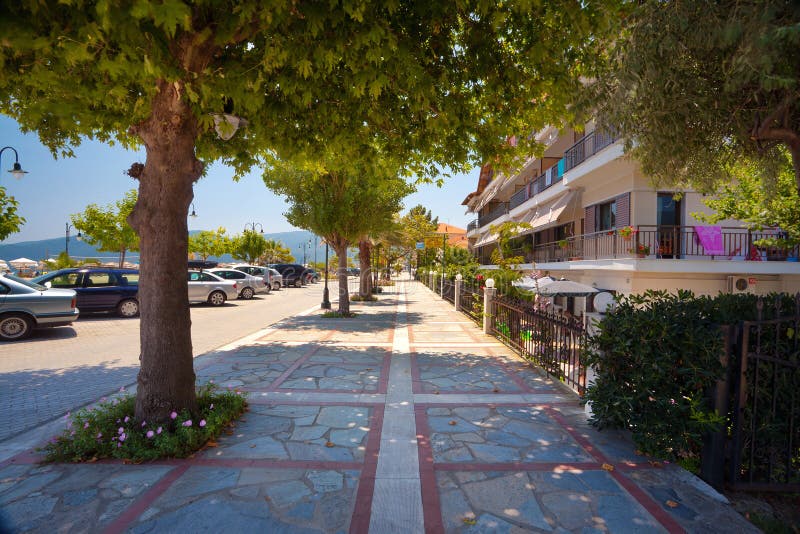 Nea Vrasna, Greece editorial photo. Image of summer, plants - 20456046