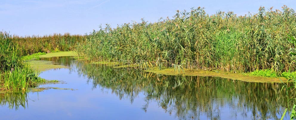Neajlov delta stock image. Image of orange, beautiful - 33988869