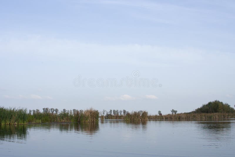 In Neajlov Delta stock image. Image of green, romania - 78890351