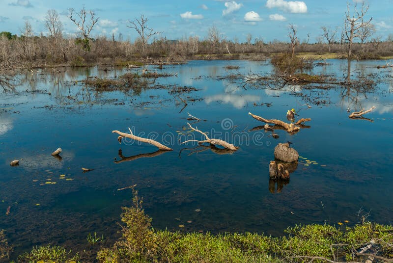Tempel Neak Pean Bei Angkor, Kambodscha Stockbild - Bild von khmer ...