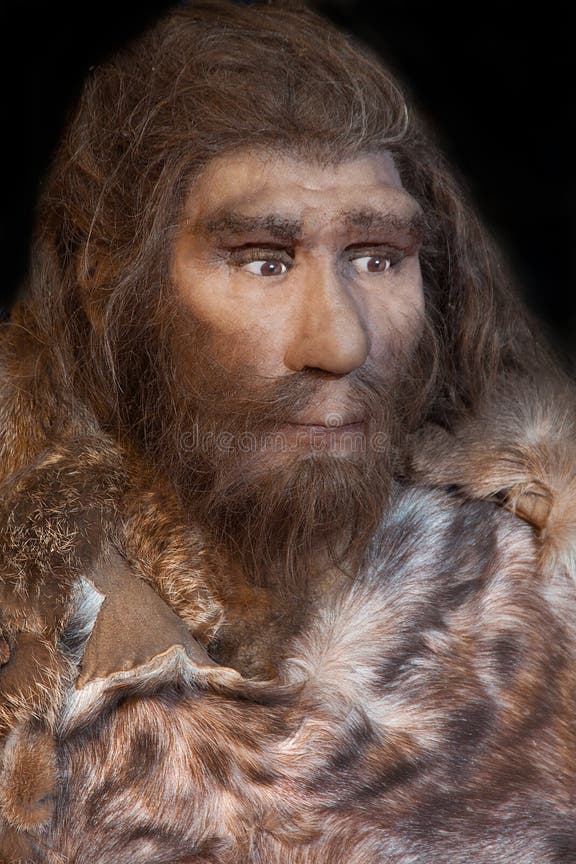 Neanderthal stock photo. Image of ancient, beard, evolution - 50144056