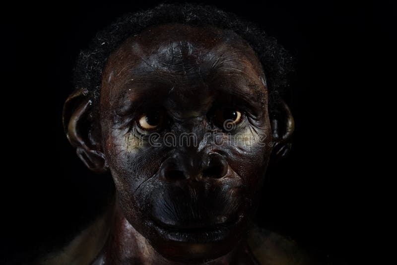 Neanderthal Man Isolated on Black Stock Photo - Image of caveman, human ...