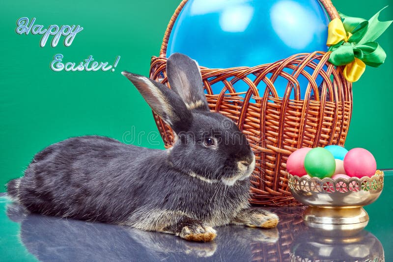 Near Easter Basket with Blue Balloon Rabbit and Easter Eggs Stock Image ...