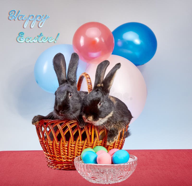 Near the Easter Eggs, Two Rabbits in a Large Basket Stock Image - Image ...