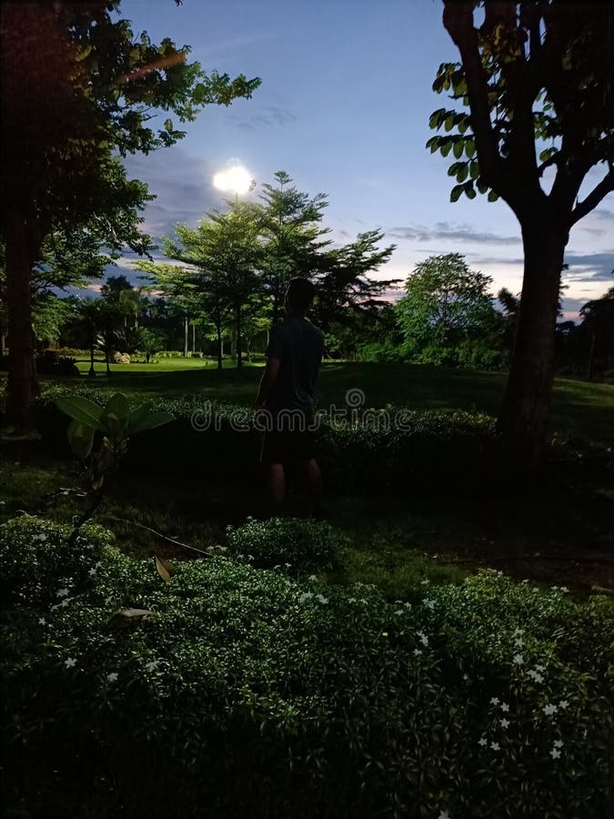 feeling nature stock photo. Image of isolated, color - 5033722