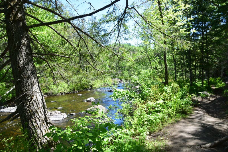 Doncaster River Park Landscape Stock Photos - Free & Royalty-Free Stock ...
