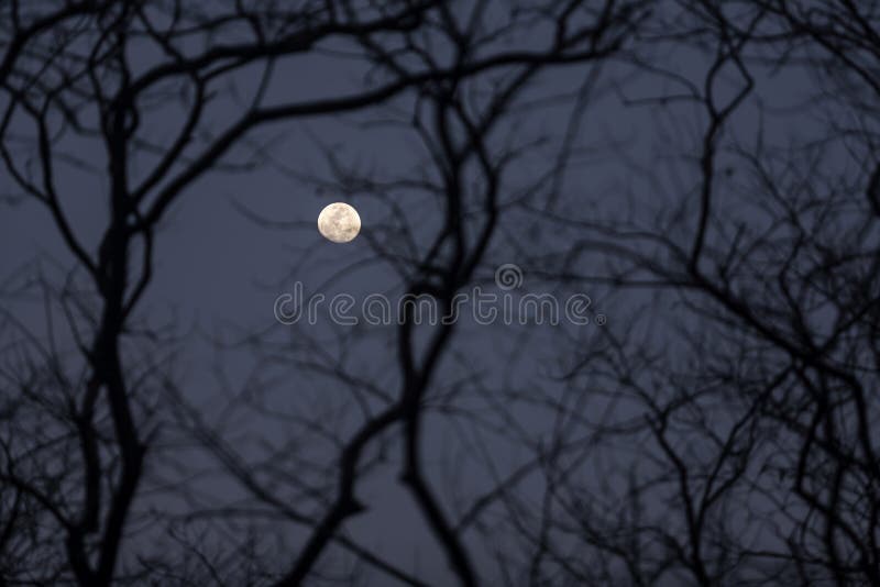 A Nearly-full Moon at Night Stock Photo - Image of nature, outdoors ...