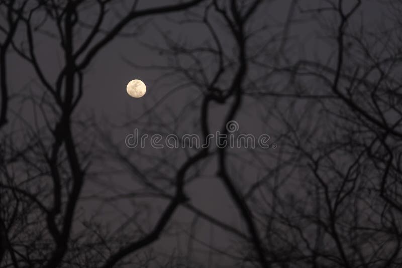 A nearly-full moon stock image. Image of moon, dark, cloudy - 49882971
