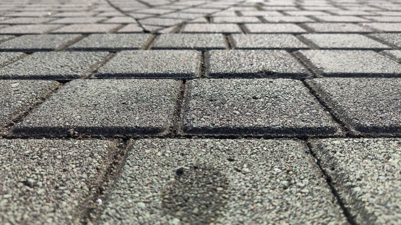 Neat Arrangement of Paving Blocks in the Yard Stock Photo - Image of ...
