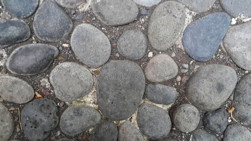 The Neat Ash Coral Lay on Top of the Cement Stock Photo - Image of wall ...