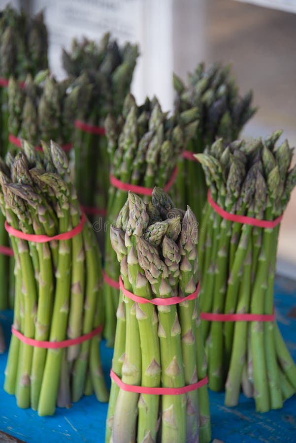 Neat Display of Bunches of Asparagus Stock Image - Image of bunches ...
