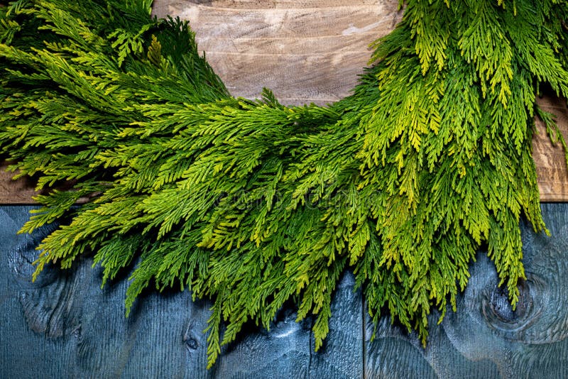 Wreath Made of Neat and Beautiful Dry Leaves. Stock Image - Image of ...
