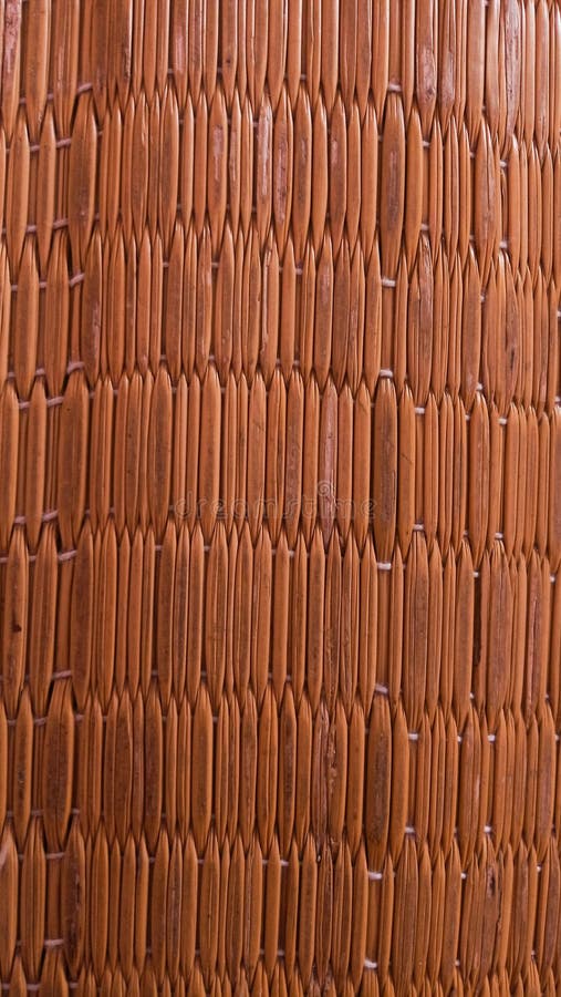 146 Neat Nature Patterns Stock Photos - Free & Royalty-Free Stock ...