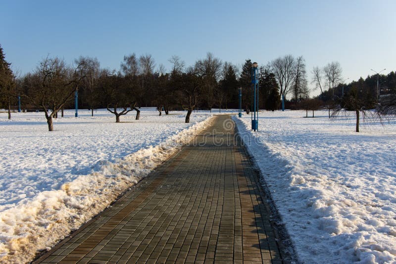 A Neat Paved Path Cleared of Snow and Ice in a Snowy City Park Stock ...