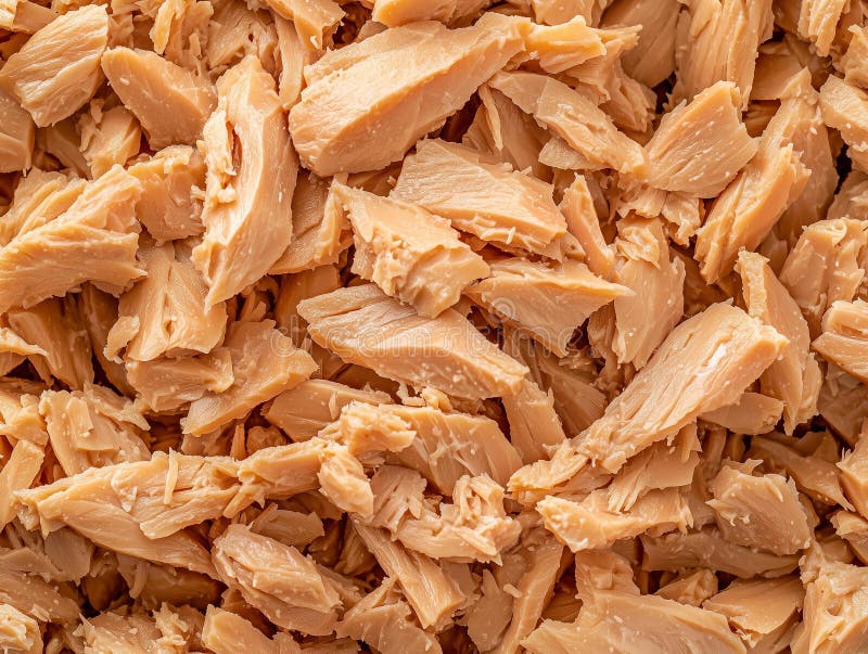 Tuna Cans Stacked Symmetrically, Highlighting Simplicity and ...