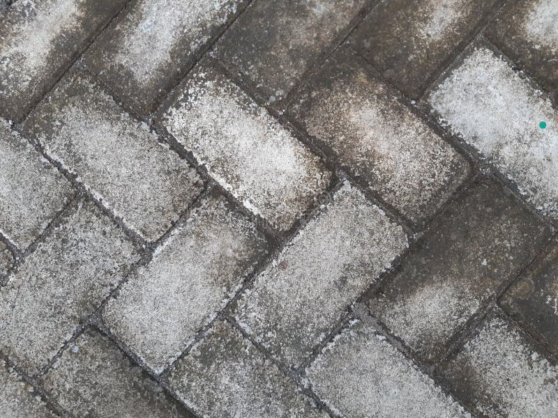 The Neatly Arranged Stone Path Adds To the Aesthetic Impression Stock ...