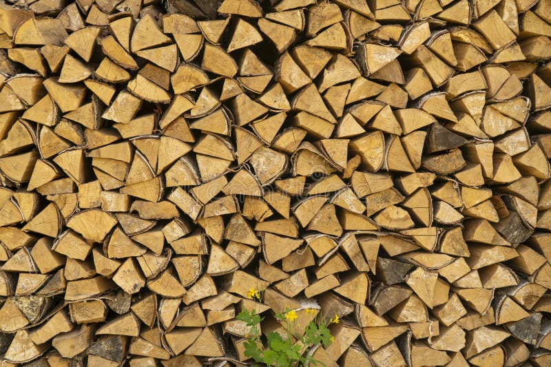 Firewood Background in Summer Garden Stock Image - Image of neatly ...