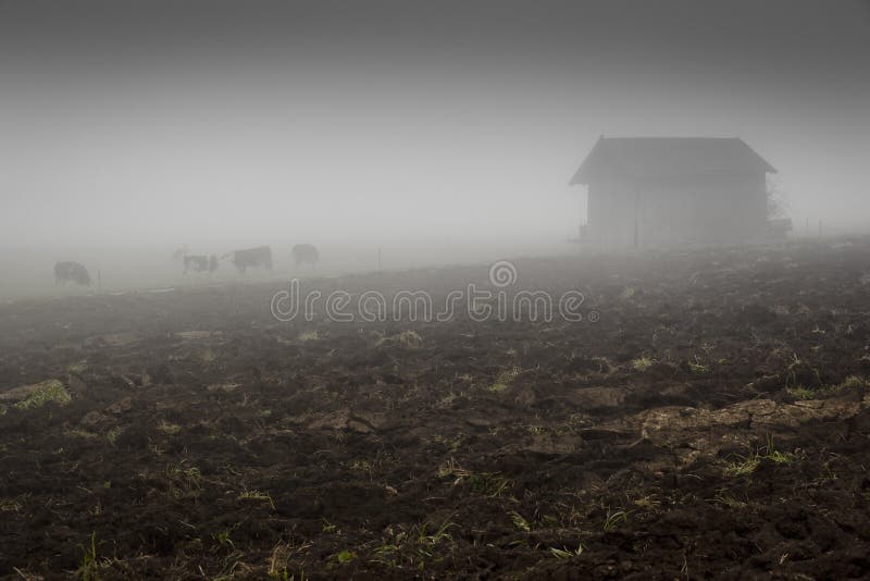 Nebel stock image. Image of early, fantasy, morning, bavaria - 21892043