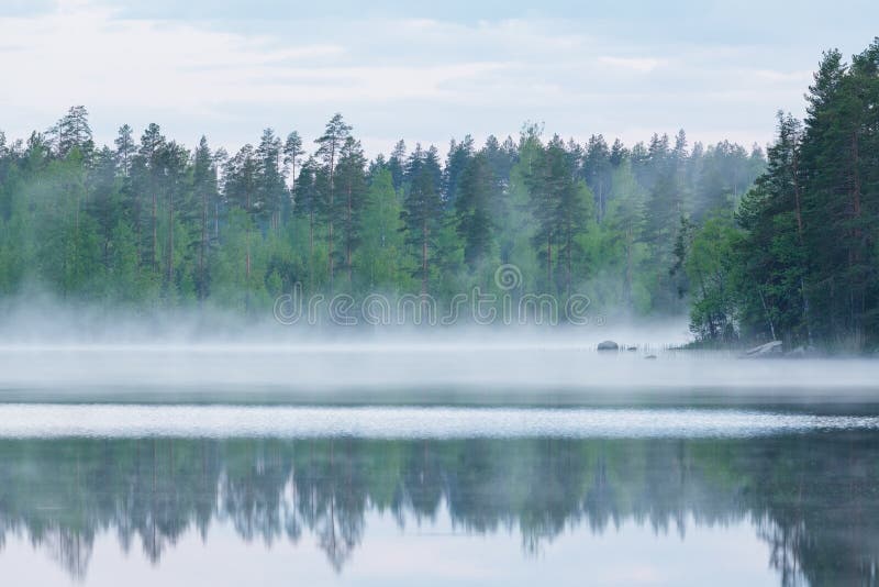 Nebeliger Ruhiger See Und Wald Nachts Sommer Stockfoto - Bild von nebel ...