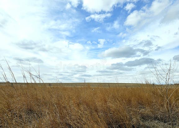 Nebraska Landscape of Conservation Reserve Program Stock Image - Image ...