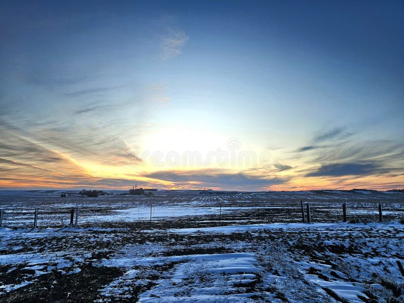 Nebraska Sunset in the Corn Field Stock Photo - Image of tassels ...
