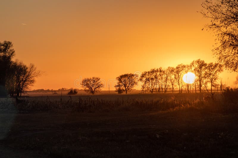 Nebraska Sunset in the Corn Field Stock Photo - Image of tassels ...
