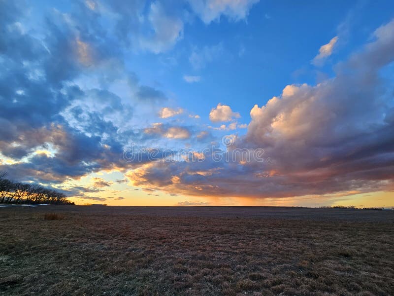Nebraska Sunset in the Corn Field Stock Photo - Image of tassels ...
