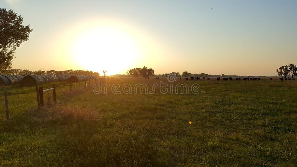 Nebraska sunset stock image. Image of ranch, fence, cows - 92934233