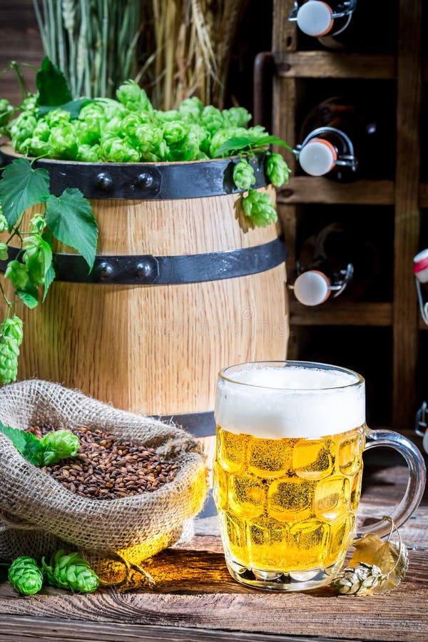 Necessary Ingredients for Fresh Beer Stock Image - Image of brewery ...