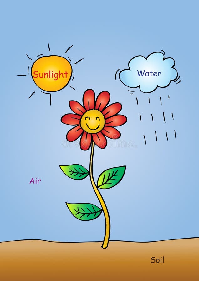 Necessary Things for Plants Stock Illustration - Illustration of ...