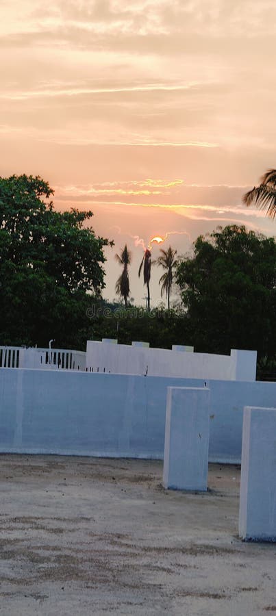 Nechar wonderful sun stock image. Image of flower, house - 328444623