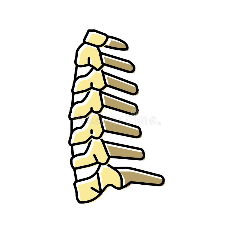Neck Bone Color Icon Vector Illustration Stock Vector Illustration Of Structure Arms 248159942