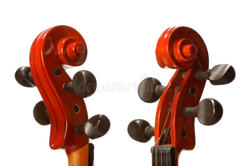 Neck of a violin stock image. Image of classical, viola - 6242197