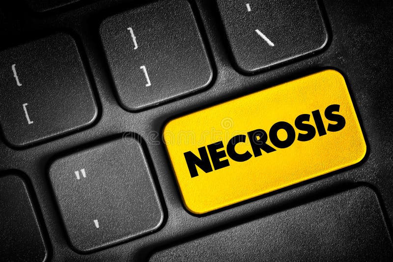 Necrosis is the Death of Body Tissue, Text Concept Button on Keyboard ...