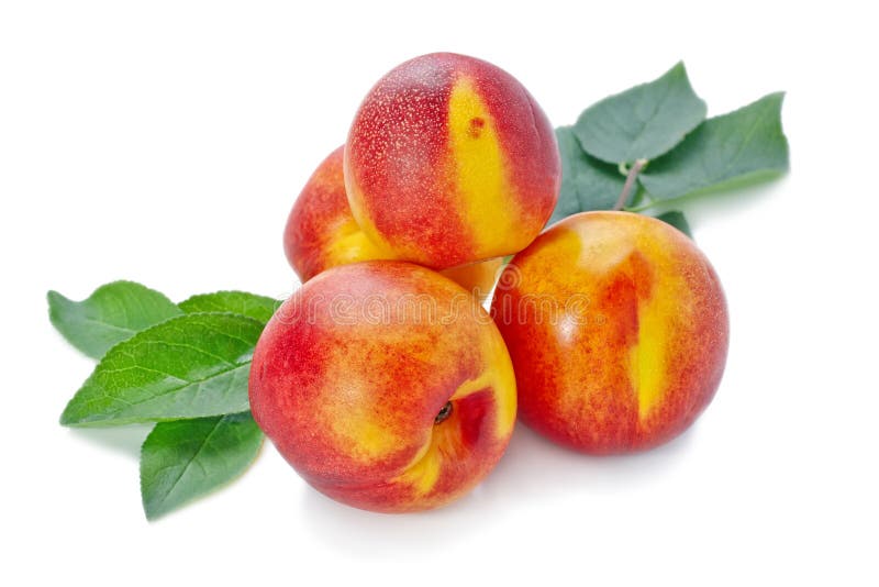 373 Nectarin Stock Photos - Free & Royalty-Free Stock Photos from ...