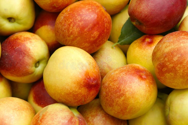 Fruta de la nectarina imagen de archivo. Imagen de dieta - 10116429